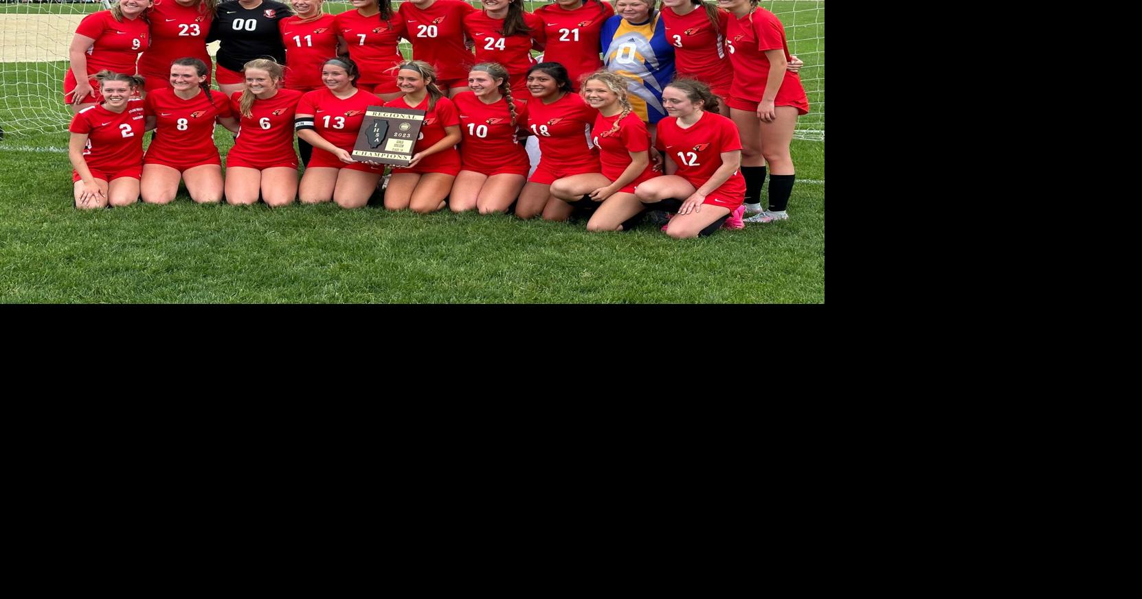 Larsen's emotional two goal game lifts Stillman Valley to Regional ...