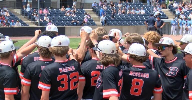 Byron Baseball, Orangeville Softball fall in Super-Sectionals, Newman ...