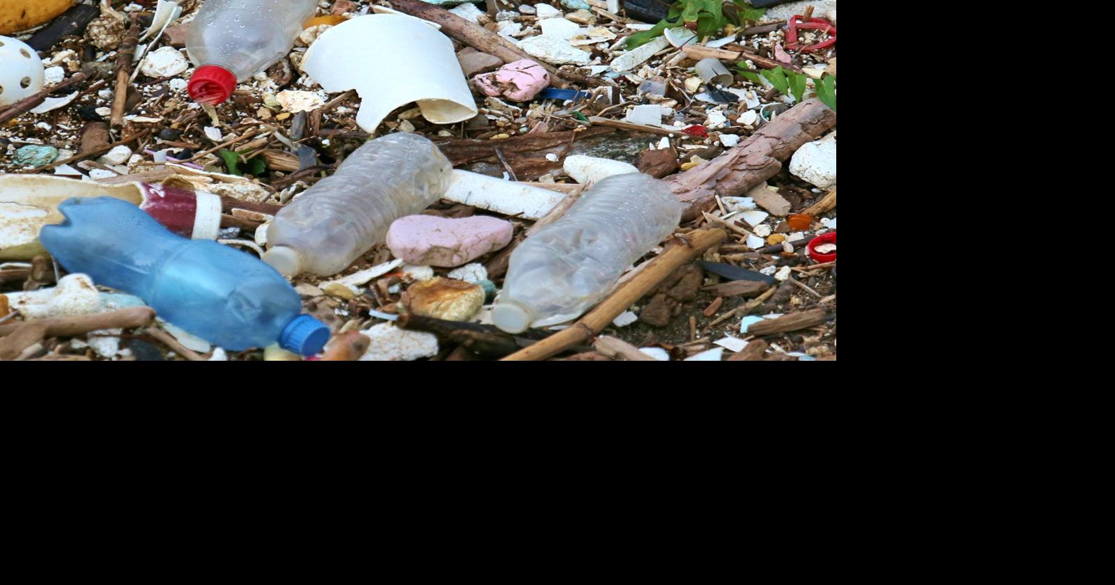 Human brain samples contain an entire spoon’s worth of nanoplastics ...