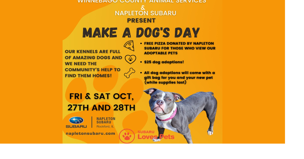 Winnebago County Animal Services to host 'Make a Dog's Day' adoption ...