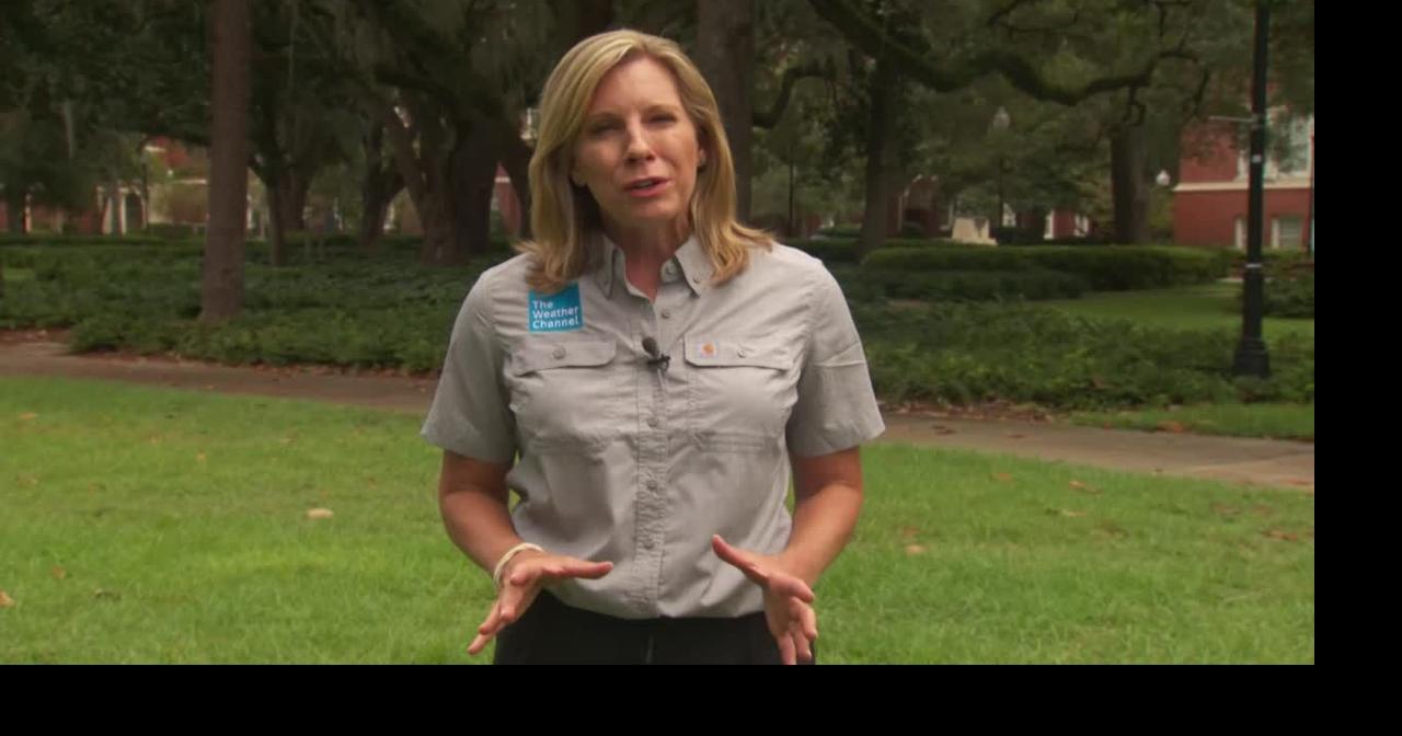 The Weather Channel: Jacqui Jeras on Tropical Storm Idalia in ...