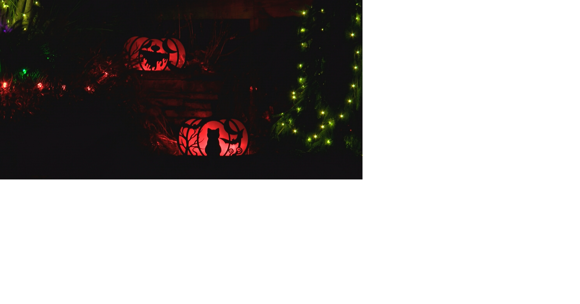 Klehm Arboretum kicks off stunning Eerie Autumn Lights experience ...