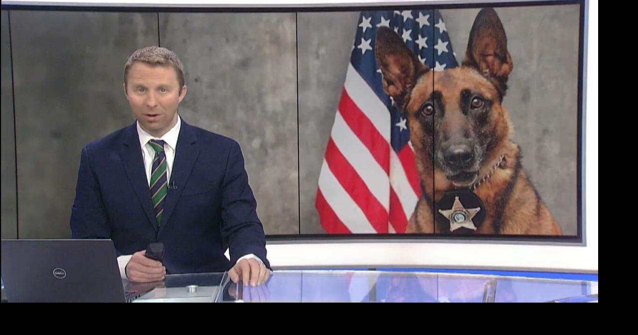 Malik Trotter found guilty in death of K-9 Nyx | Video | wrex.com