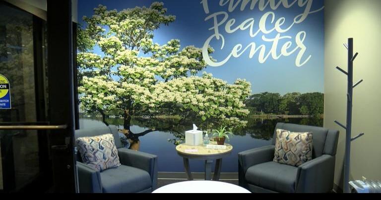 Rockford expands domestic violence services to target youth survivors ...