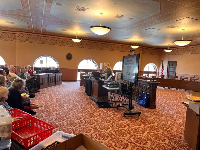 bernadette mcconchie