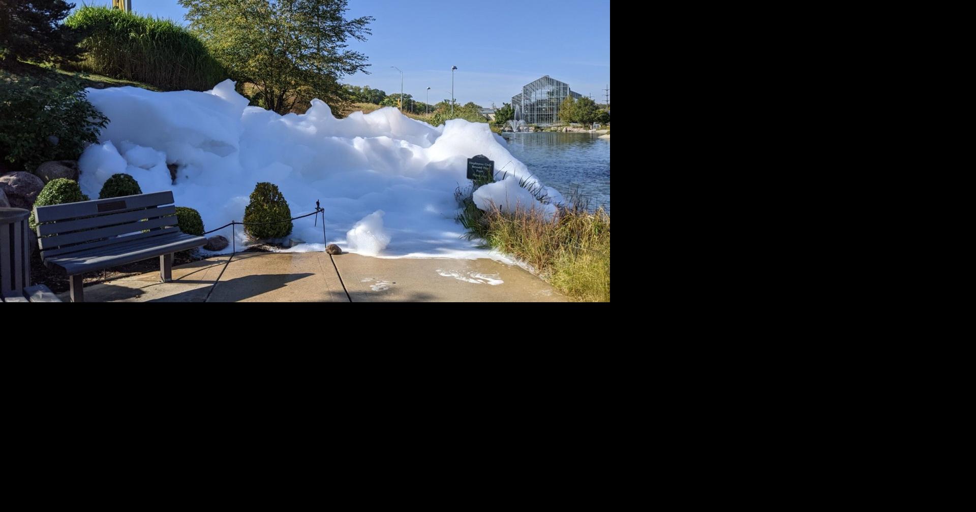 Bubbles in Nicholas Conservatory waterfall ‘act of vandalism’ | News ...