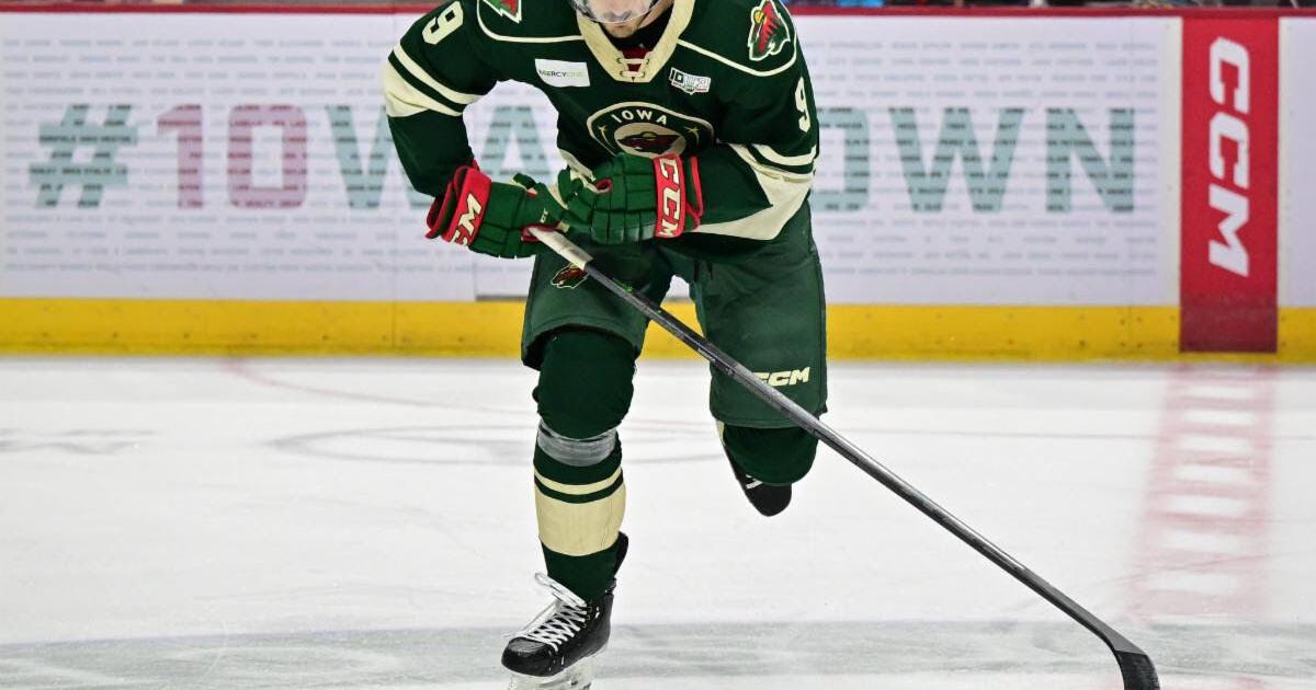 IceHogs add veteran forward Brandon Baddock | Sports | wrex.com