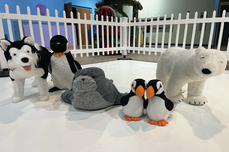Hammy the Hog to visit Polar Playground at the Discovery Center Museum ...