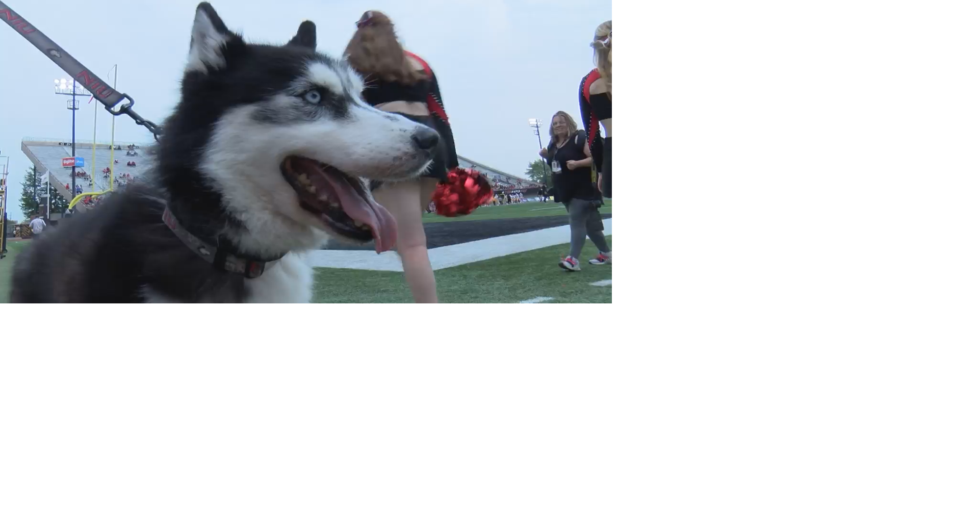 REST IN PEACE: Former NIU mascot, Mission I, passes away | News | wrex.com