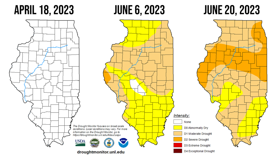 Drought has developed quickly across Illinois, including in the ...