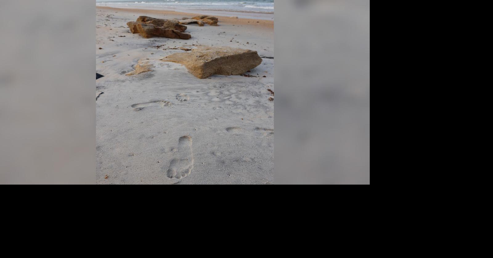 Human DNA can now be pulled from thin air or a footprint on the beach ...
