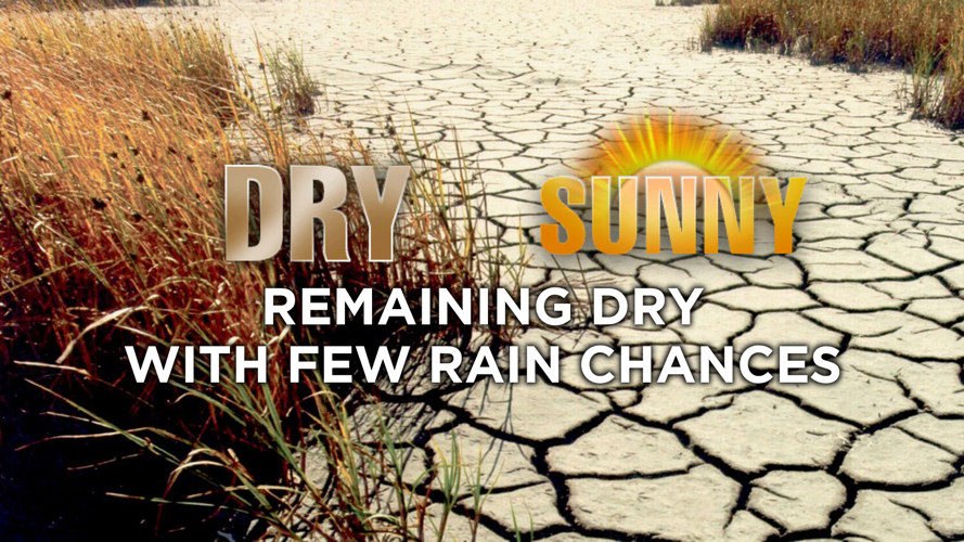 Dry weather means booming ragweed levels, no lasting relief in sight ...