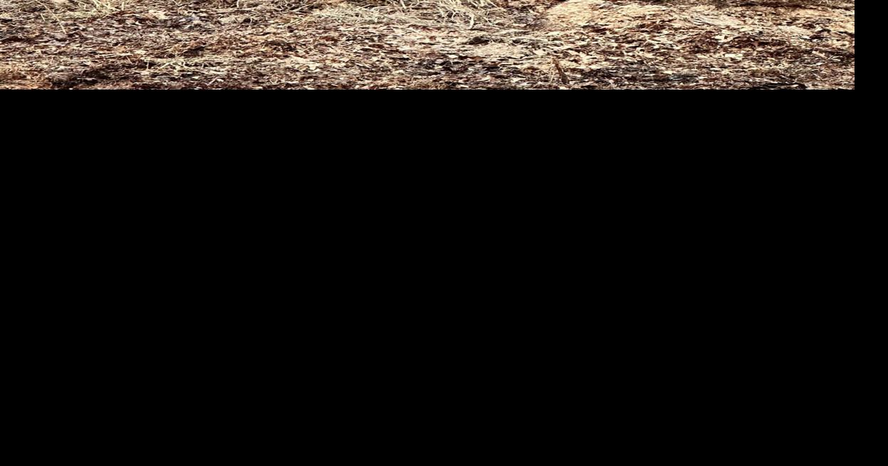 Boone County Fire District warns against unattended fires, illegal ...