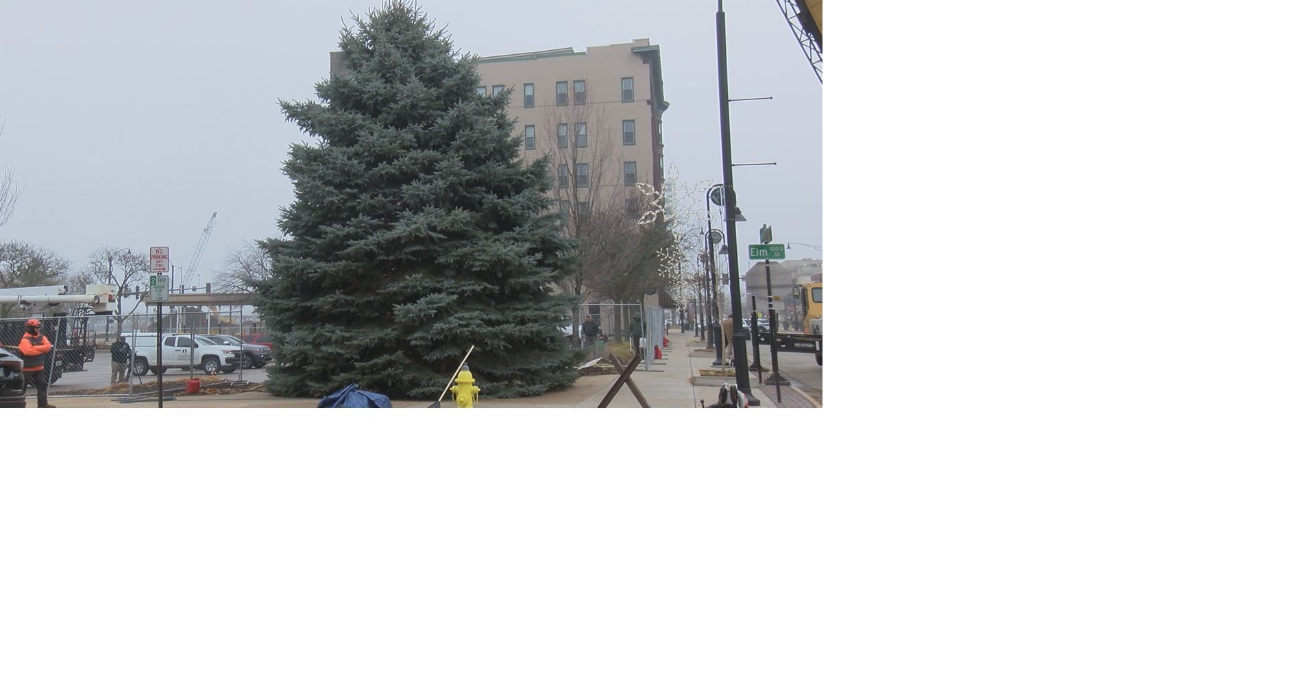 35-foot-tall Christmas tree arrives in downtown Rockford ahead of ...