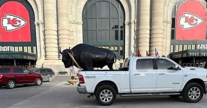 Only in KC: Giant buffalo statue gets special Chiefs makeover | | wrex.com