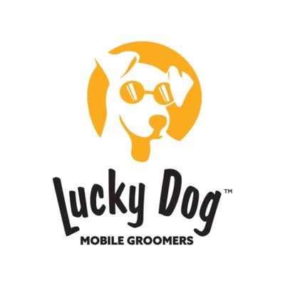 Lucky Dog Mobile Groomers Closes Out 2025 with Record Growth and ...