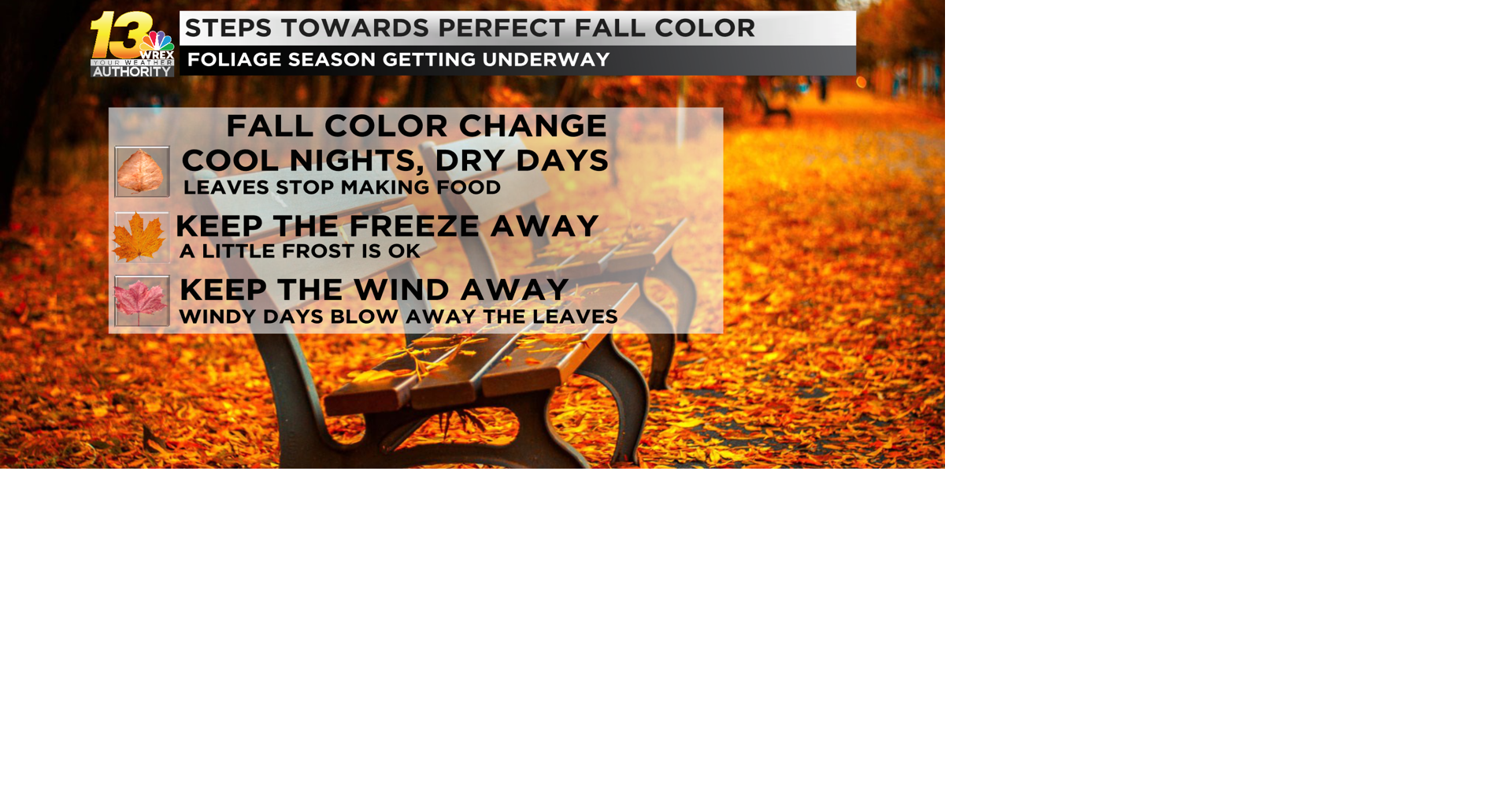 The recent summer heat may impact the fall colors | Weather | wrex.com