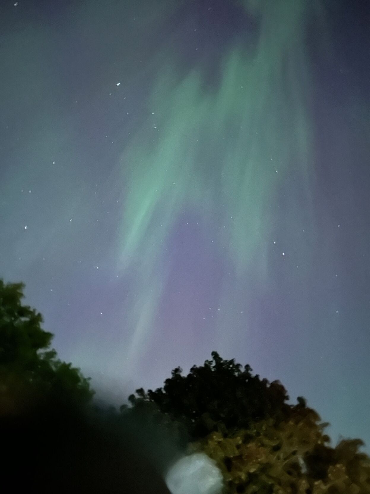 Missed the dazzling northern lights show? You might get another chance ...