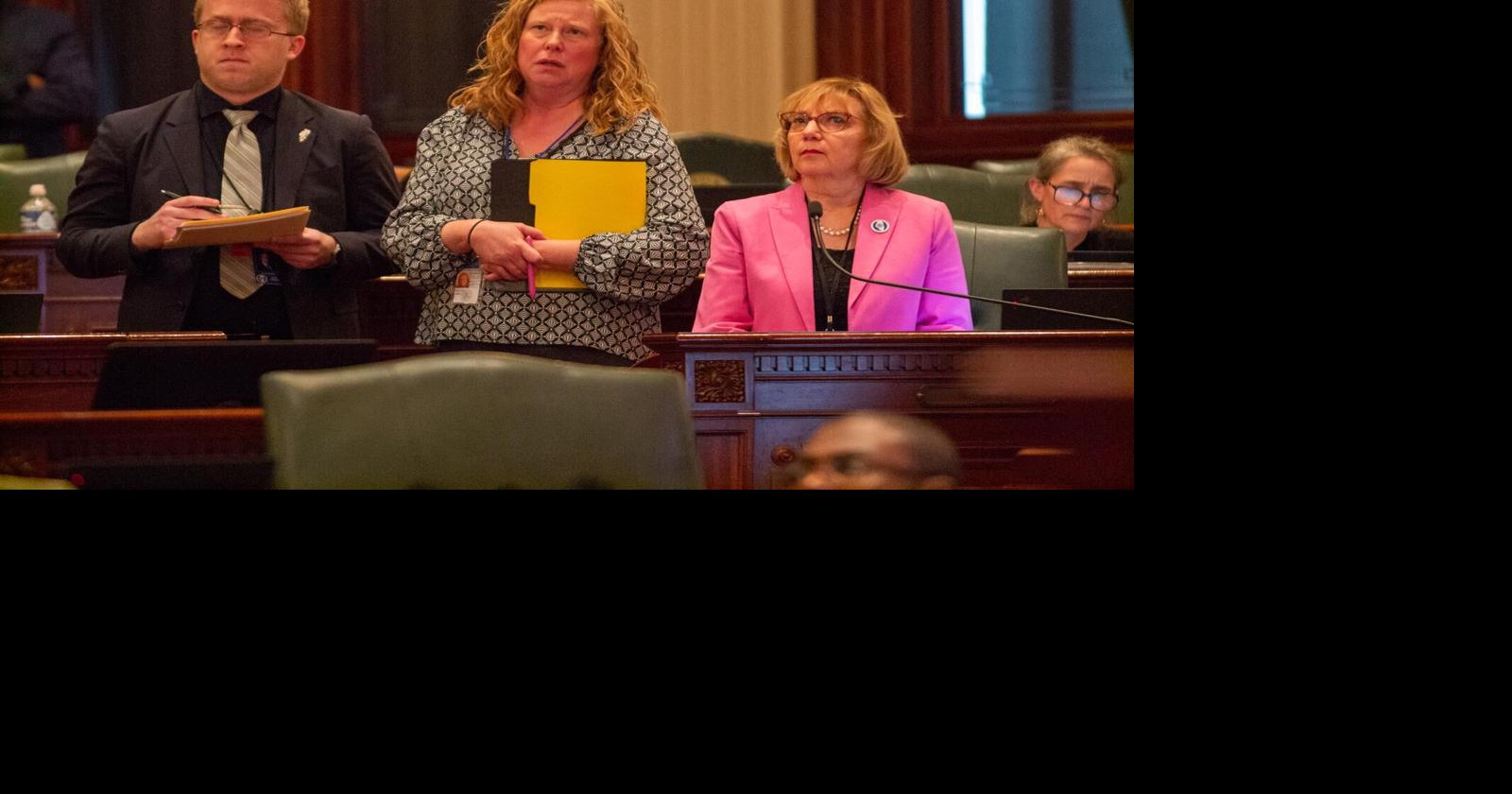 State Rep. Robyn Gabel, D-Evanston | | wrex.com