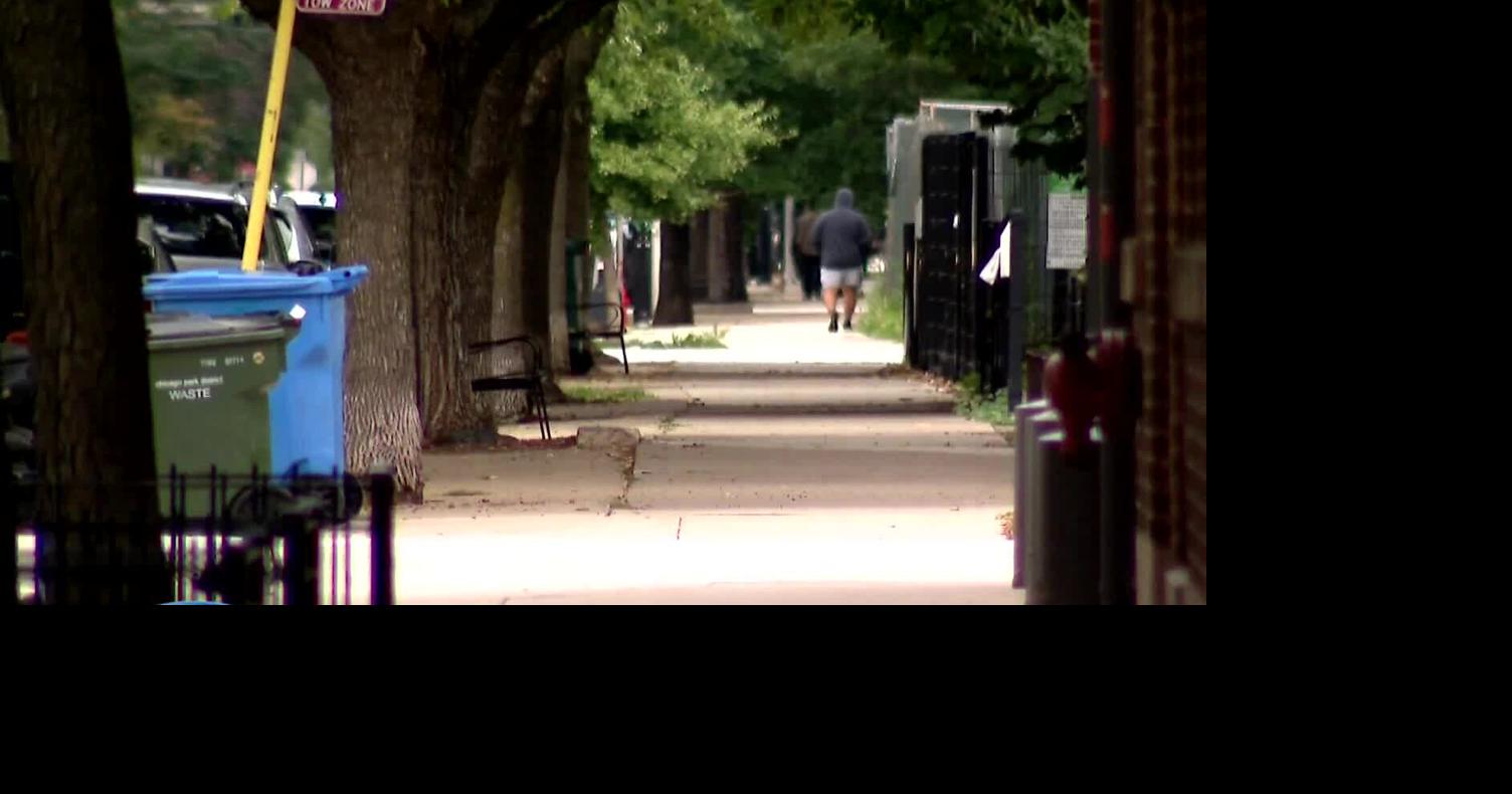 Chicago police questioning person of interest in attempted kidnapping ...