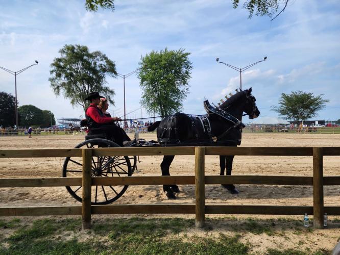 Photos: 13 WREX at Boone County Fair, 8/10 | | wrex.com