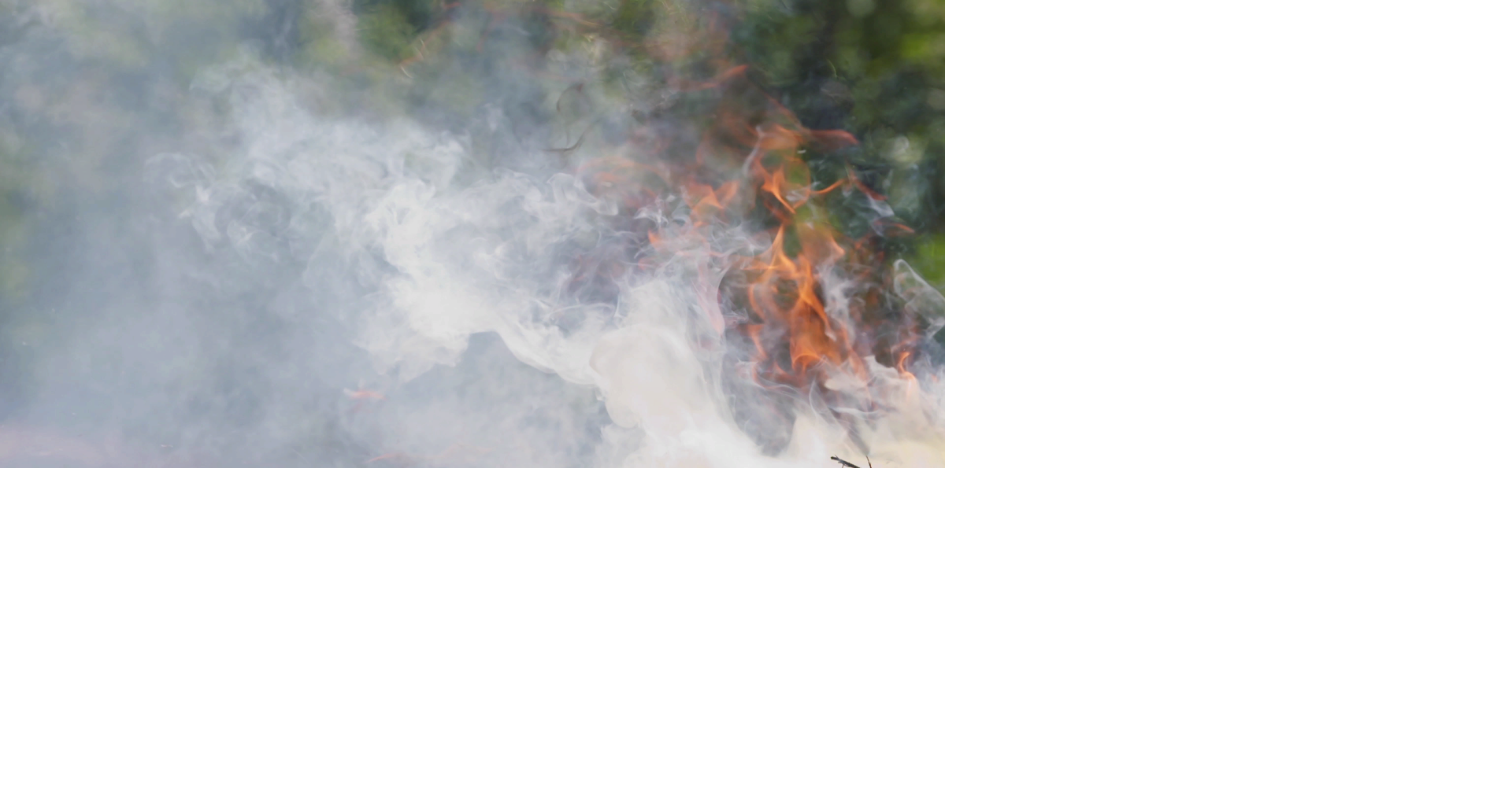 Will we see a repeat of last summer's intense wildfire smoke? | Top ...
