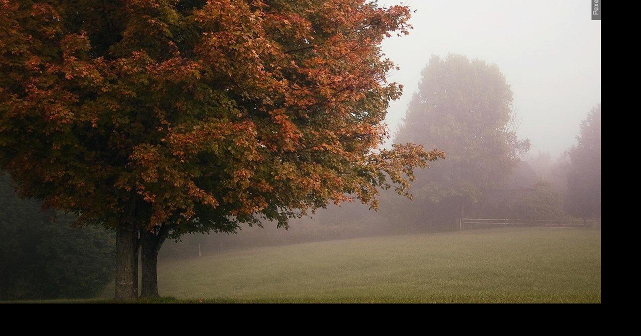 How clouds affect overnight temperatures and morning fog | Weather Wise ...