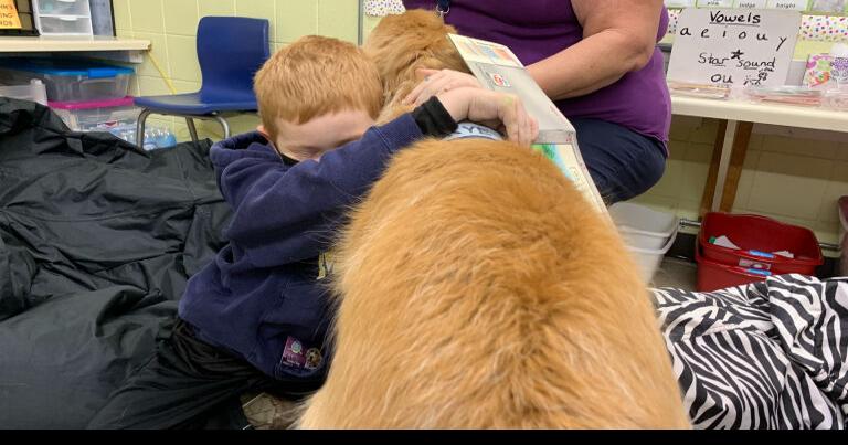 Oregon Elementary School launches service dog reading program to ...