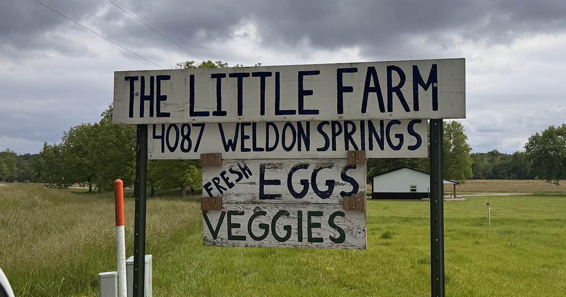 Illinois ‘chicken bill’ aims to boost small poultry farms, expand ...