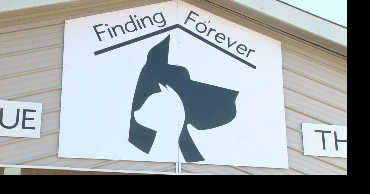 Finding Forever Animal Rescue hosts Pet Photos | News | wsiltv.com