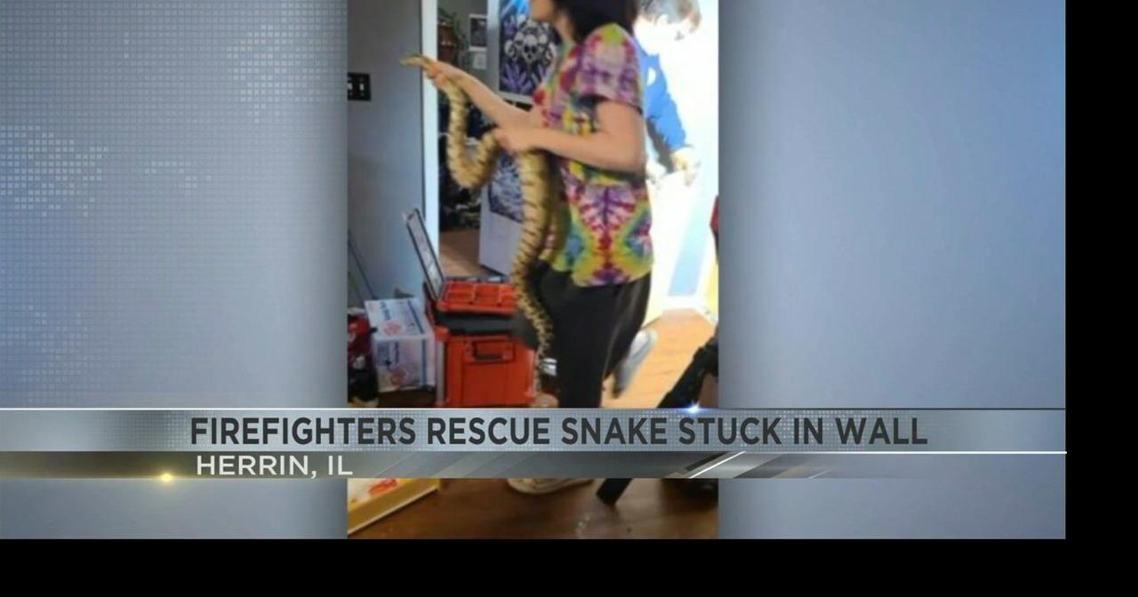Herrin firefighters rescue 6-foot snake stuck in home | Video | wsiltv.com
