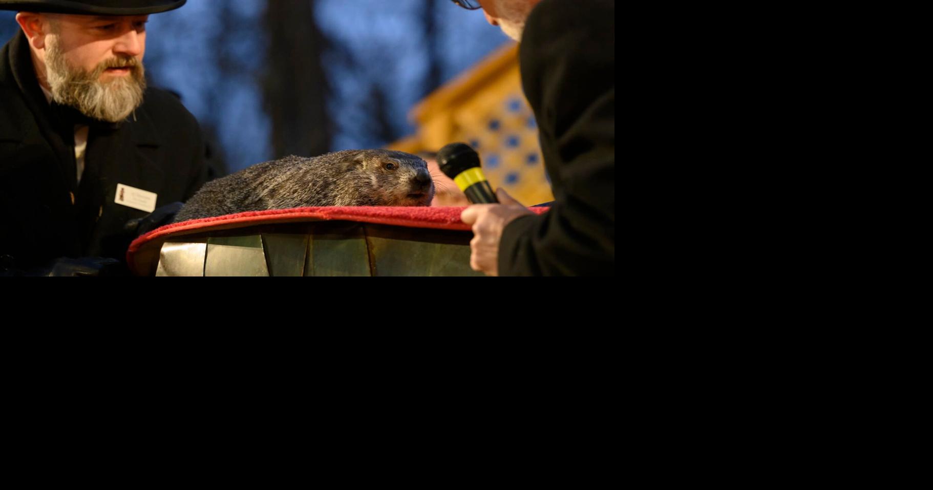 What did the groundhog see? Punxsutawney Phil’s winter predictions are ...