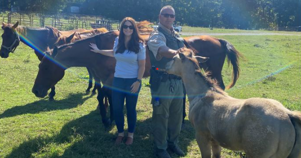 12 horses seized after mistreatment | News | wsiltv.com