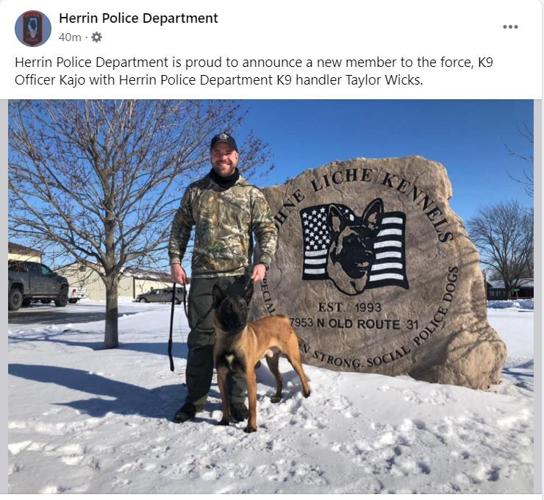 Local Police Departments introduce new K9’s | News | wsiltv.com