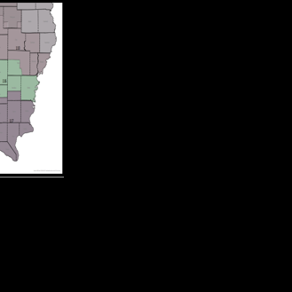 Illinois Democrats release first draft of new legislative map | News ...