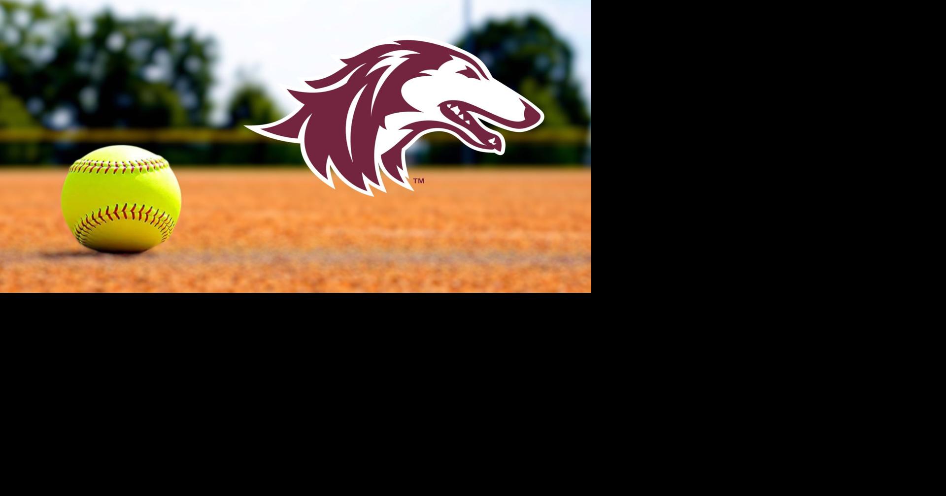 SIU hosts Saluki softball reunion | News | wsiltv.com