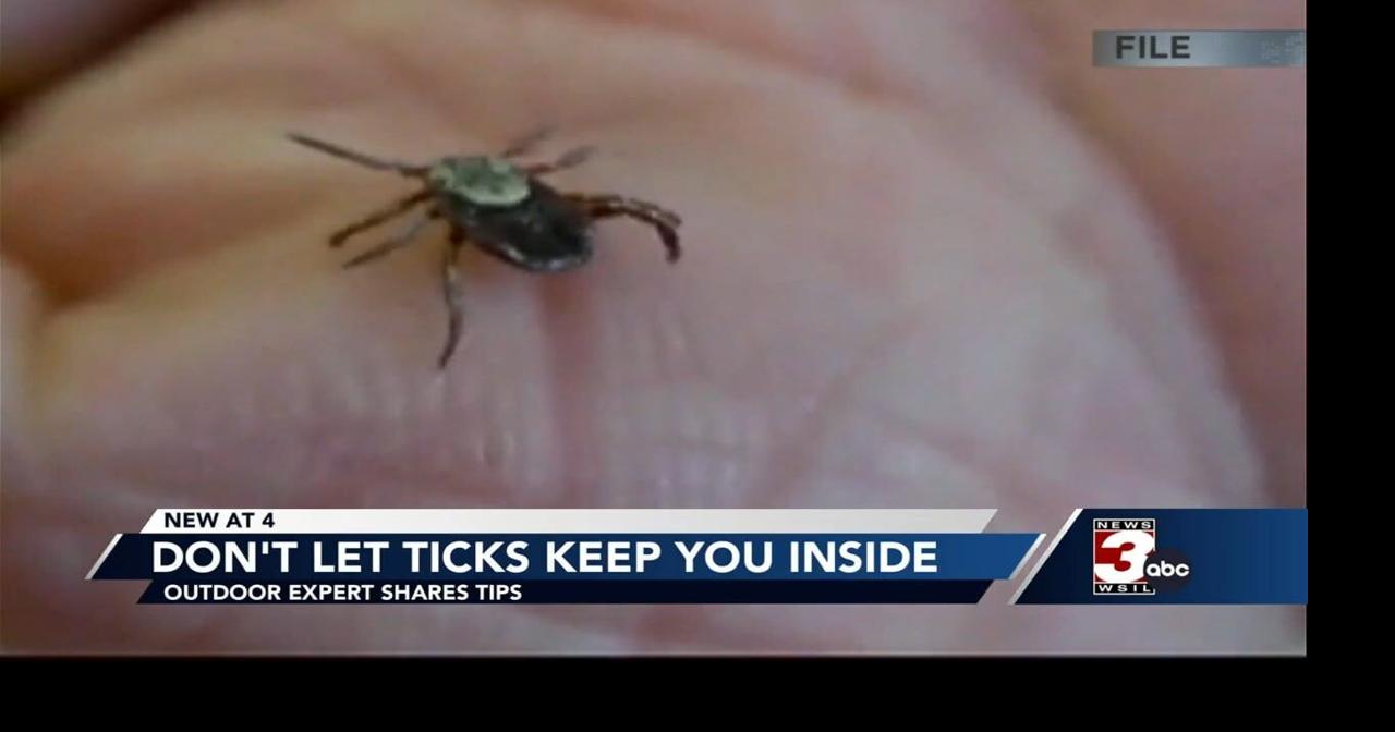 How to deal with ticks | Video | wsiltv.com