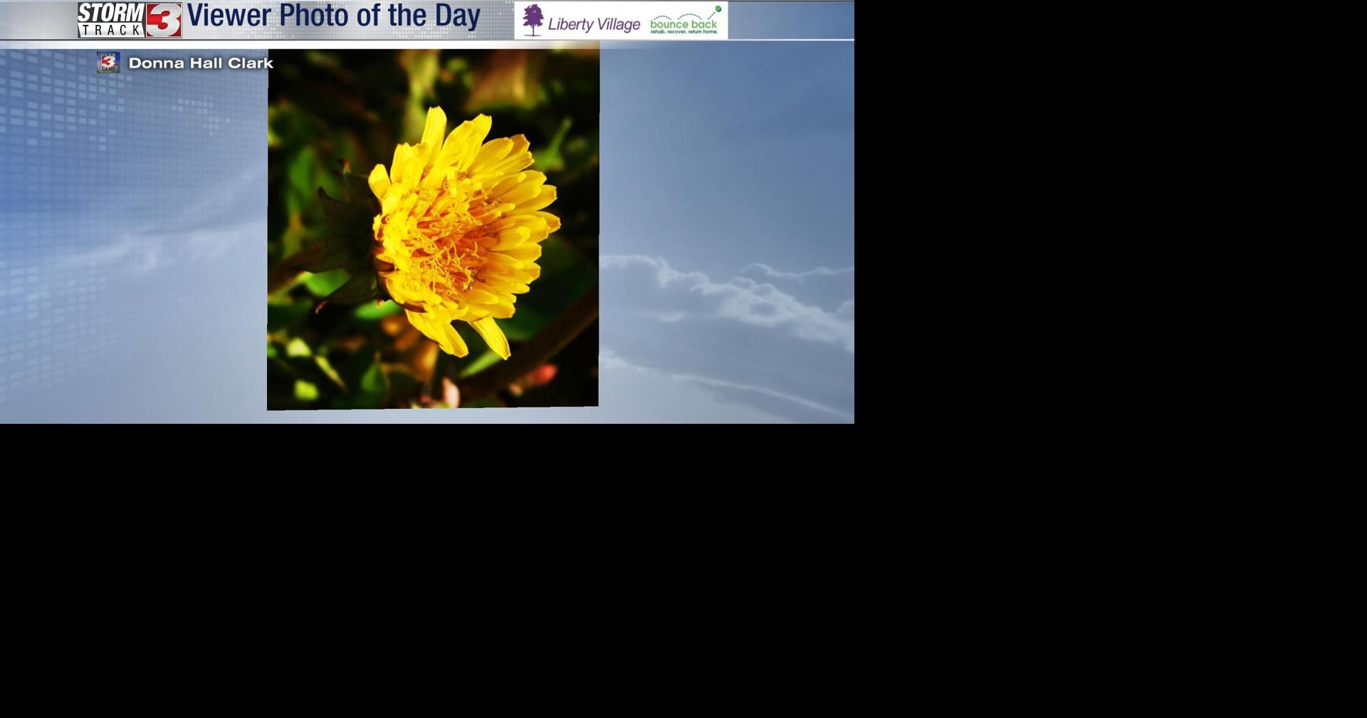 Photo of the Day: December 6th | Photo of the Day | wsiltv.com