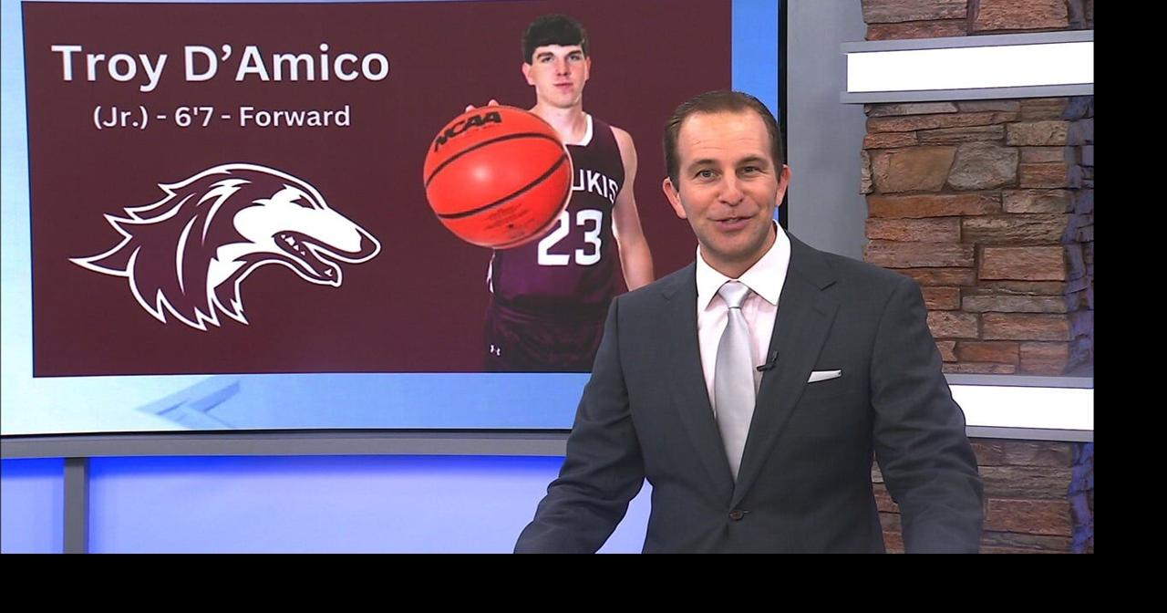 Saluki basketball junior forward Troy D'Amico to enter transfer portal | Sports | wsiltv.com