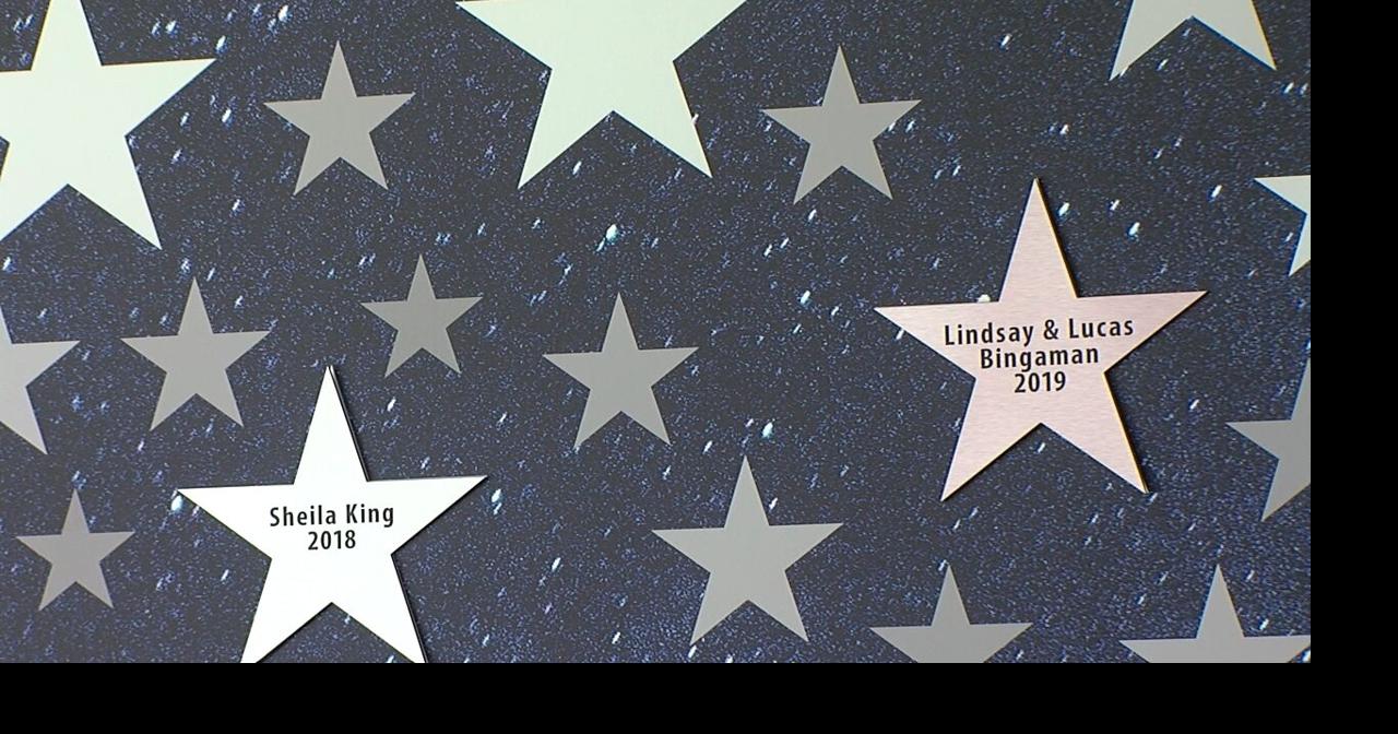 Organizers set for 4th annual Dancing With Show Me Stars | News ...