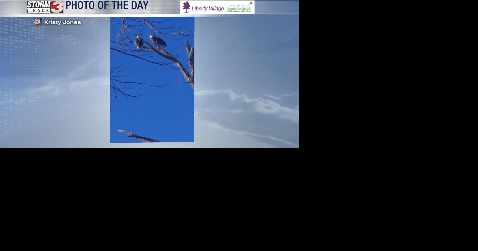 Photo of the Day: November 23rd | Photo of the Day | wsiltv.com