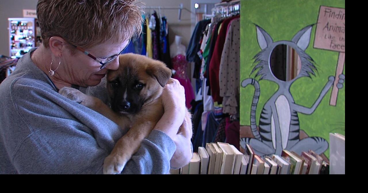 Finding Forever Animal Rescue moves to new location | News | wsiltv.com