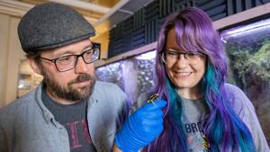 SIU Researchers help identify three new species of poison dart frogs in ...