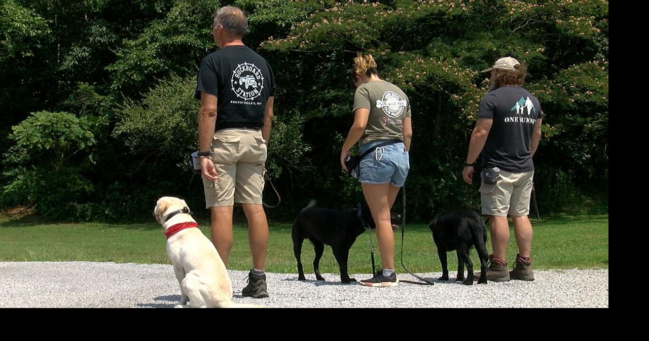 Veterans meet and train with new service dogs | News | wsiltv.com