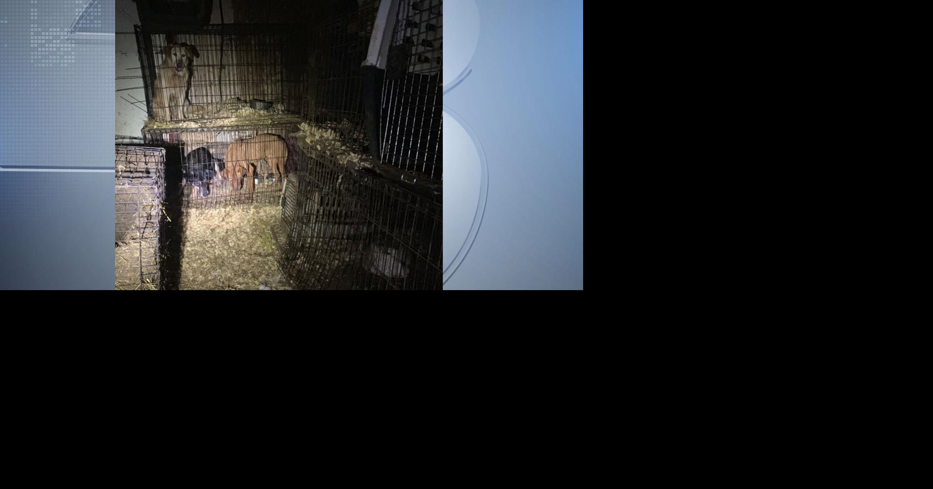 McCracken County man arrested for animal cruelty; Nearly 100 animals ...