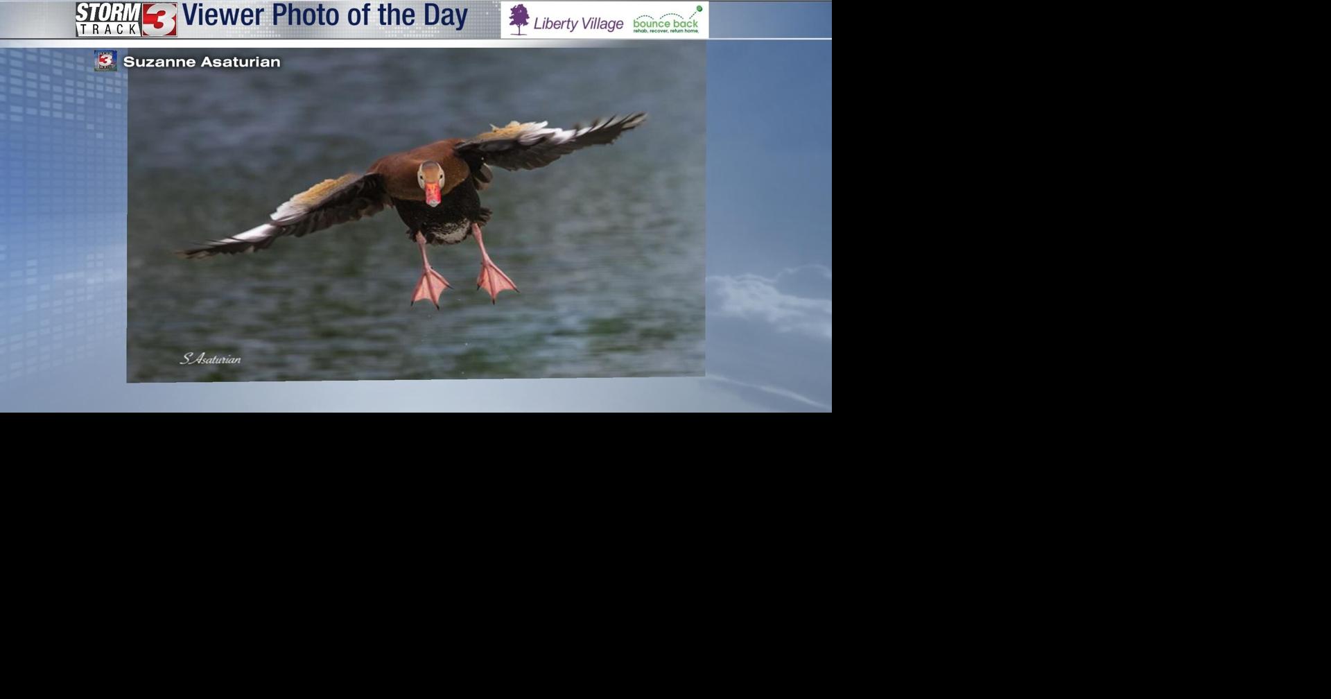 Photo of the Day: June 2nd | Photo of the Day | wsiltv.com