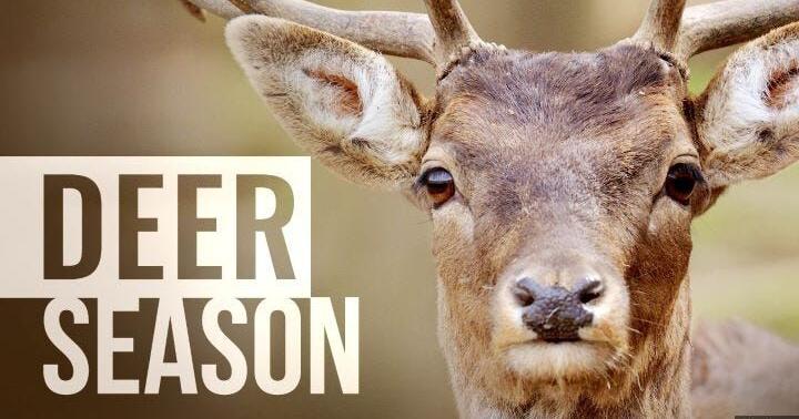 Rend Lake closing recreation areas during firearm hunting season | News ...
