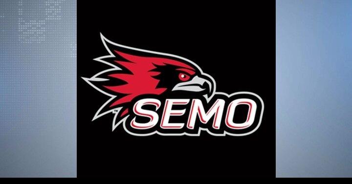 SEMO announces new visual arts scholarship | News | wsiltv.com
