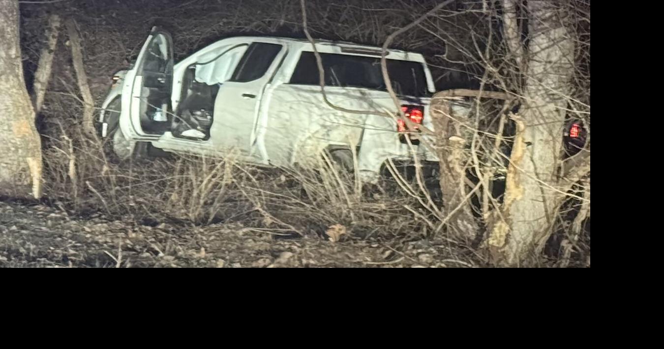 One arrested after deputies find crashed truck in Williamson County ...