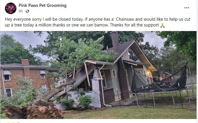 Family begins clean up after tree falls on home | News | wsiltv.com
